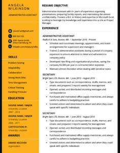 Important Points CV and Resume Examples for Your Inspiration